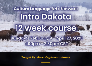 Programs – Culture Language and Arts Network - Minneapolis American ...